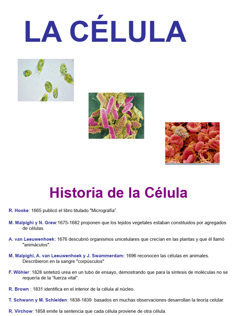 3-BCM La C-Lula | PDF | Las bacterias | Biología Celular)