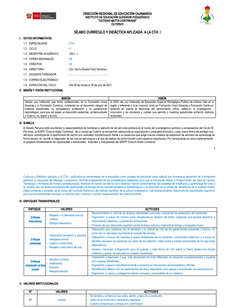 Silabo de Modelo | PDF | Evaluación | Plan de estudios