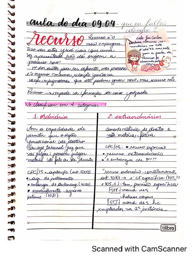 Dos Recursos CPC 2024.1 | PDF