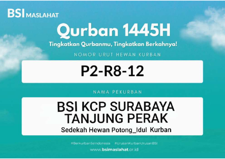 BSI | PDF