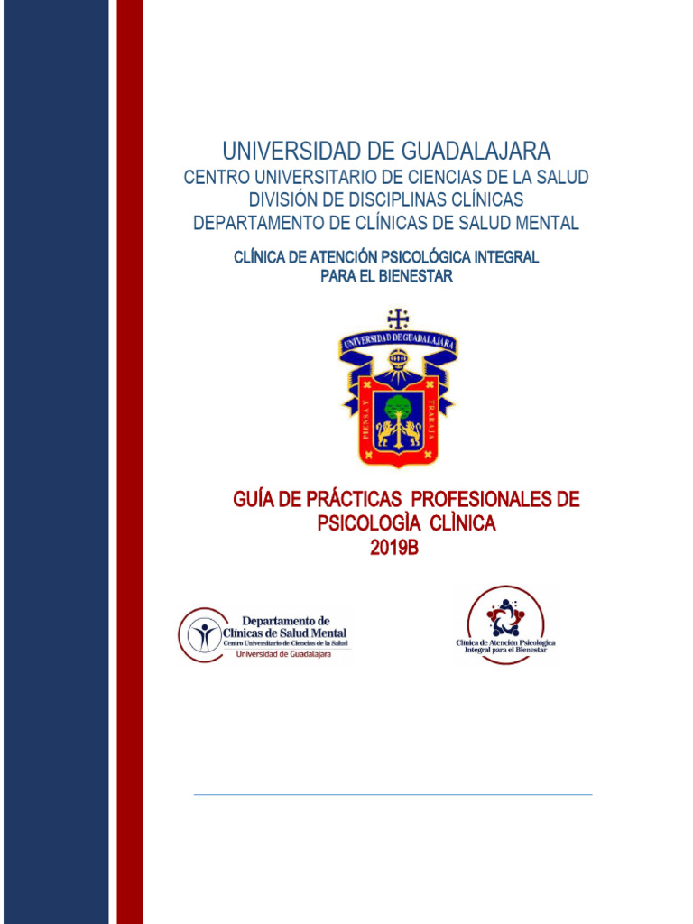 Guia Capib 2019B Parte I | PDF | Salud mental | Sicología