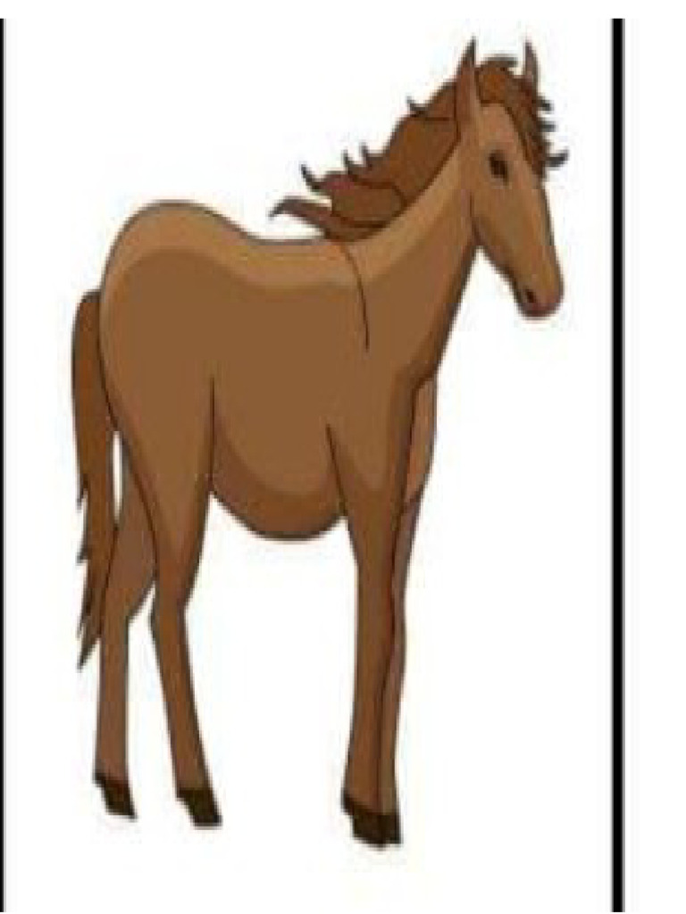 For Group Activities | PDF