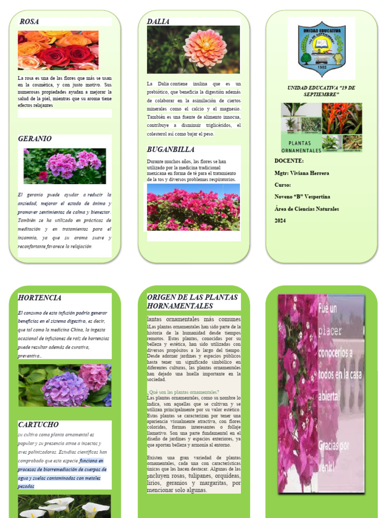 Triptico Karen | PDF | Plantas | Alimentos Triptico Karen | PDF | Plantas | Alimentos