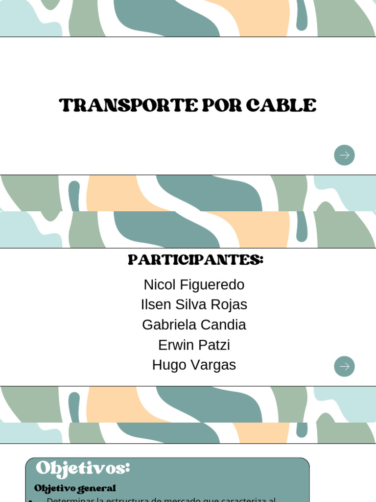Estructura del Transporte por Cable en La Paz | PDF | Monopolio | Business