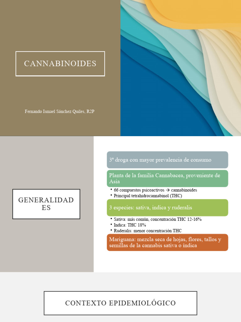 Cannabis Pdf Cannabis Droga Tetrahidrocannabinol