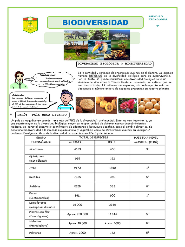 Ficha 1° Biodiversidad | PDF | Biodiversidad | Organismos