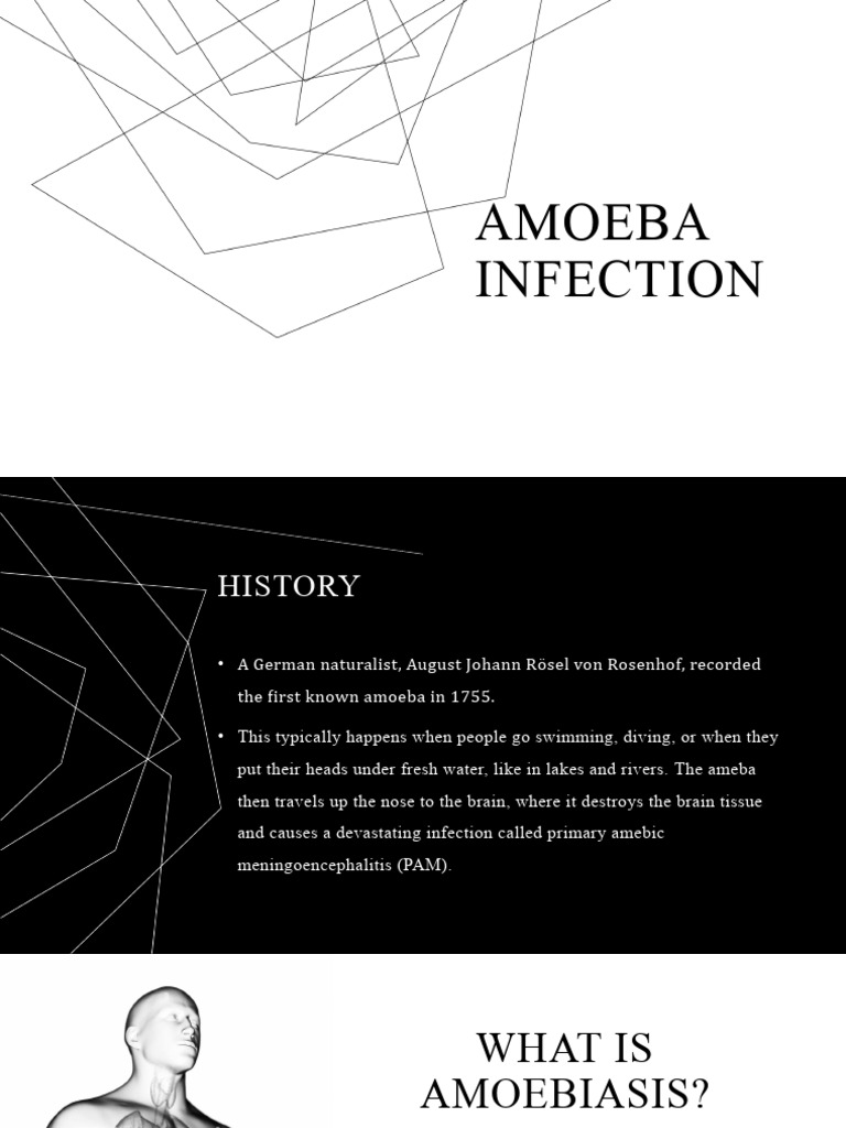 AMOEBA | PDF