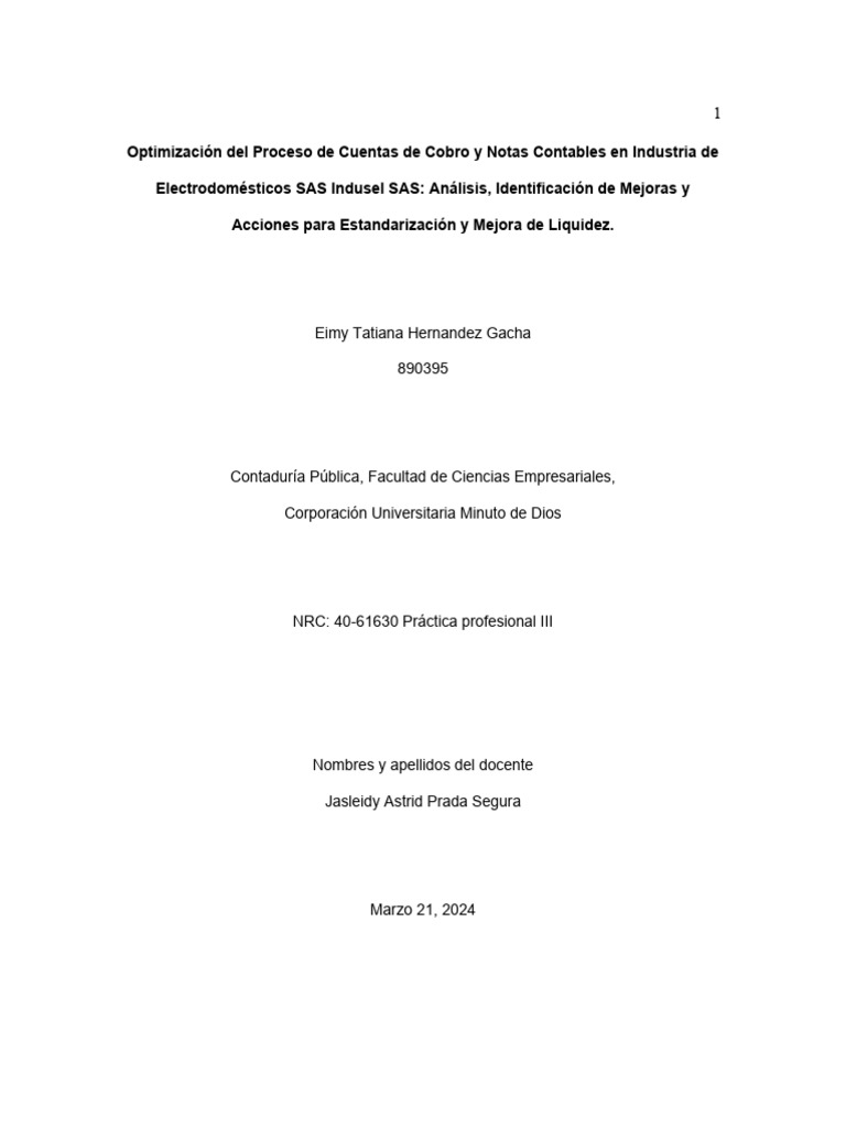 Formato Practica Profesional Eimy Hernandez Pdf Contabilidad