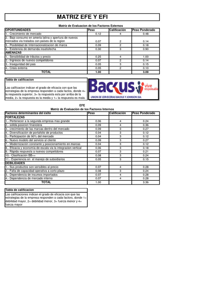 Matriz Efe y Efi Backus | PDF | Economias | Business