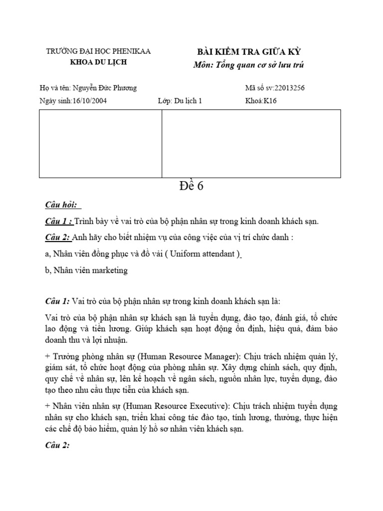 22013256.nguyen Duc Phuong | PDF