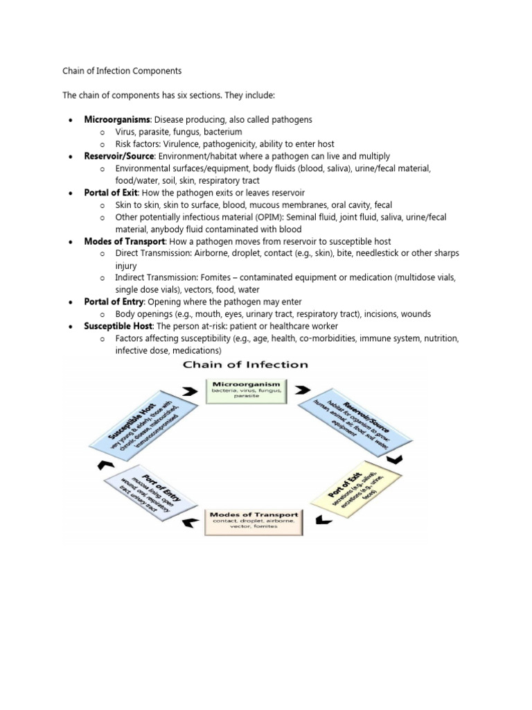 Chain-of-Infection | PDF | Infection | Apoptosis