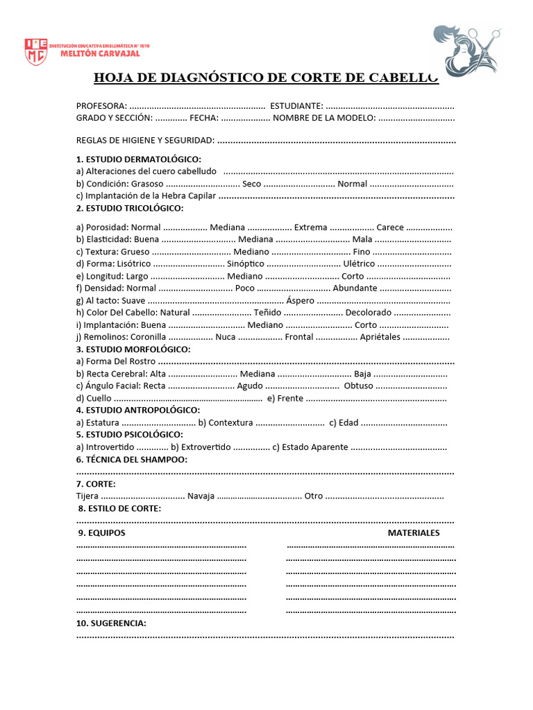Hoja de Diagnóstico de Corte de Cabello 2024 Ibimestre | PDF | Tecnología
