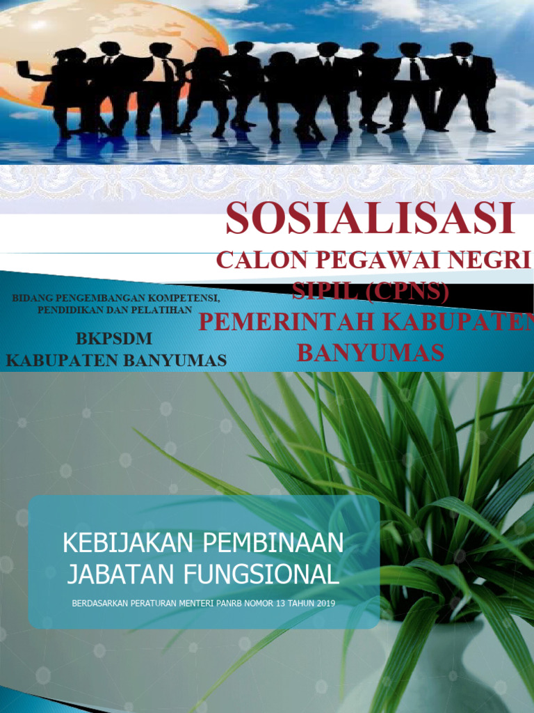 Sosialisasi CPNS - Bidang PKPP | PDF