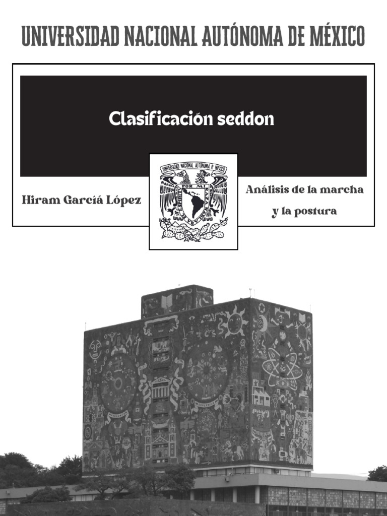 Clasificación Seddon (1) | PDF