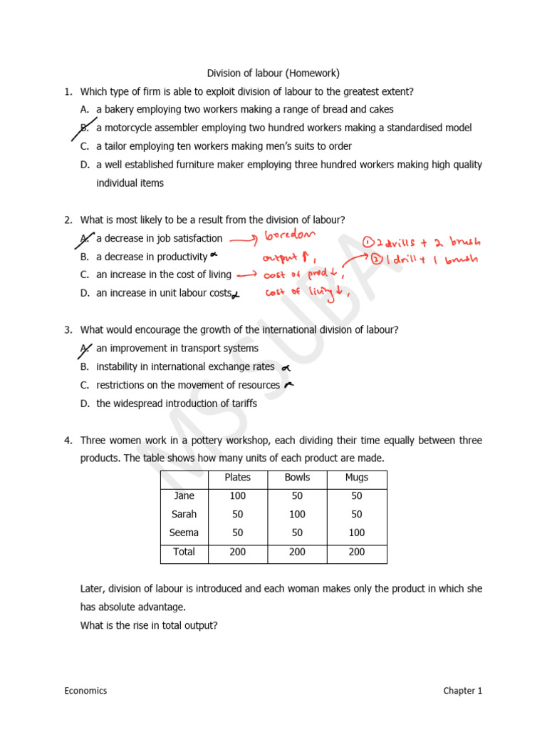 Economics Homework: Division of Labour | PDF