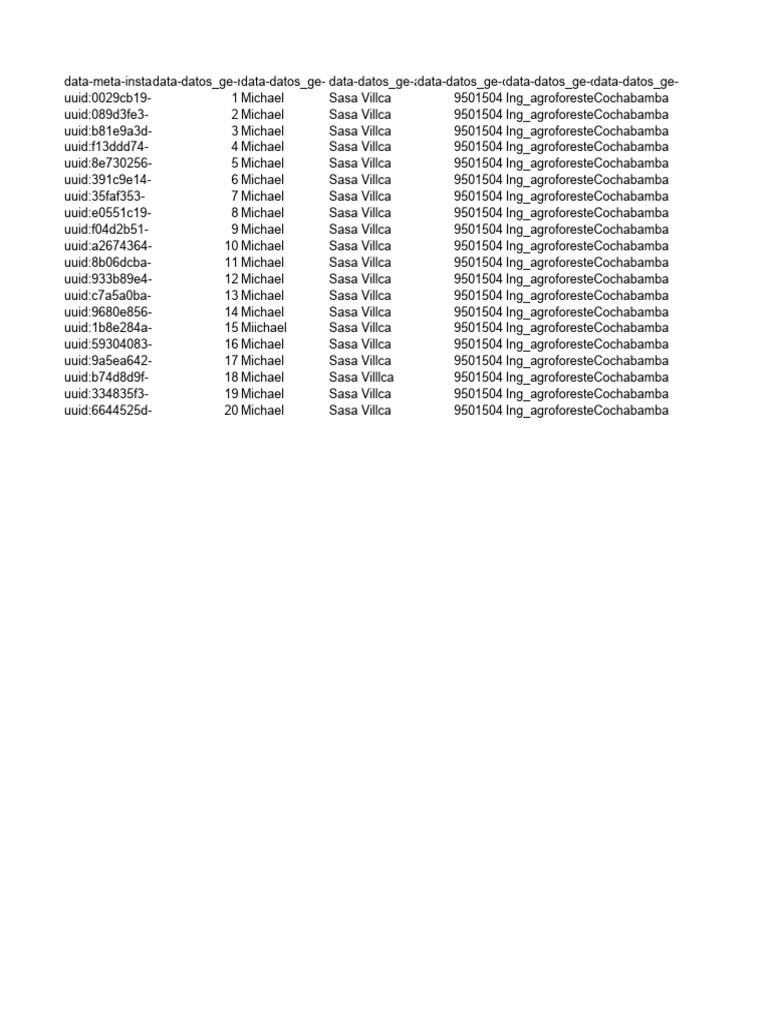 Sasa Villca Machael | PDF