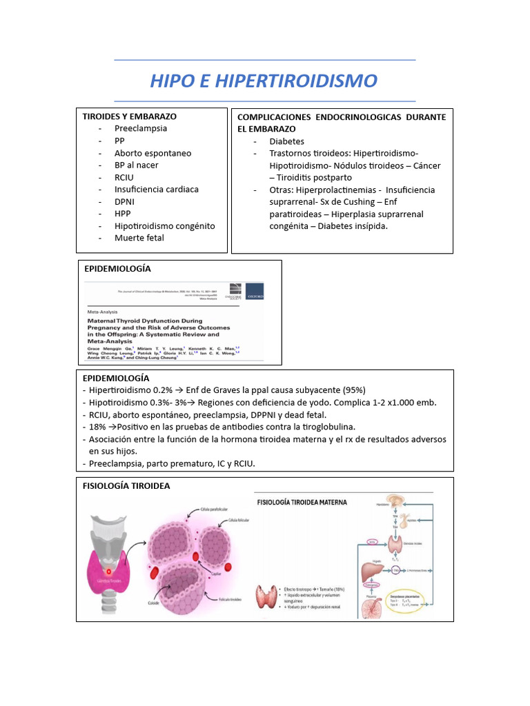 Hipo e Hipertiroidismo | PDF | Hipertiroidismo | Hipotiroidismo
