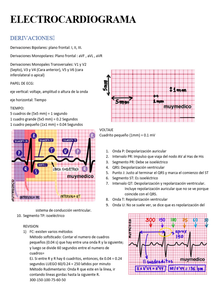 ELECTROCARDIOGRAMA | PDF | Electrocardiografia | Enfermedades ...