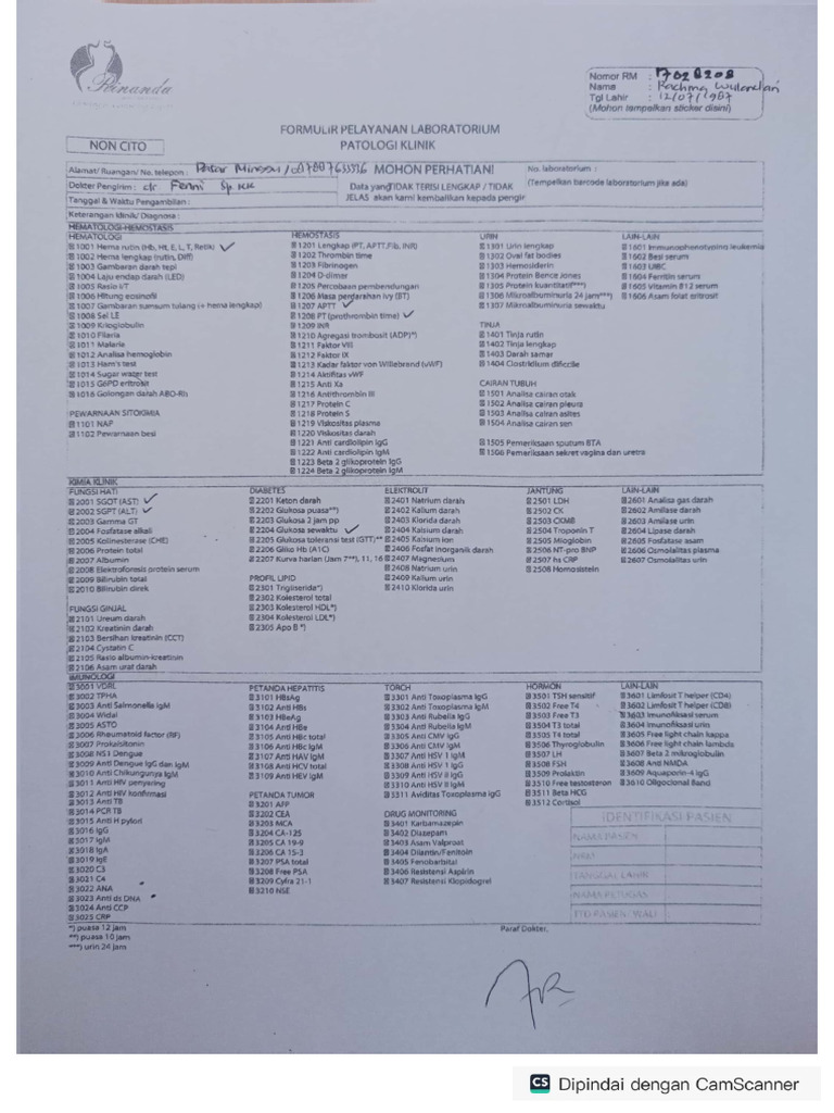 Form Lab Ny. Wulan | PDF