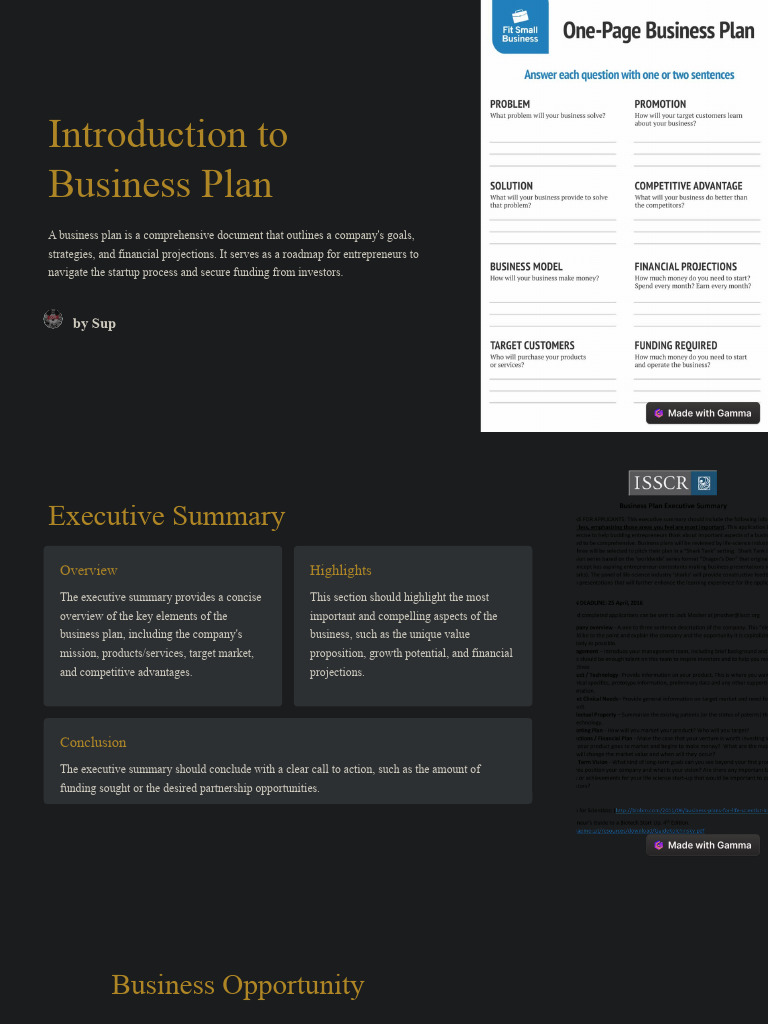 Introduction To Business Plan | PDF | Business Plan | Marketing