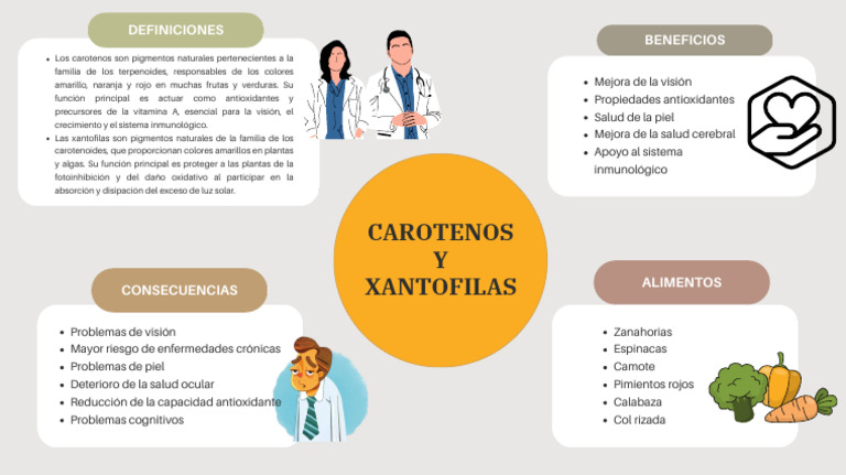 Carotenos y Xantofilas | PDF