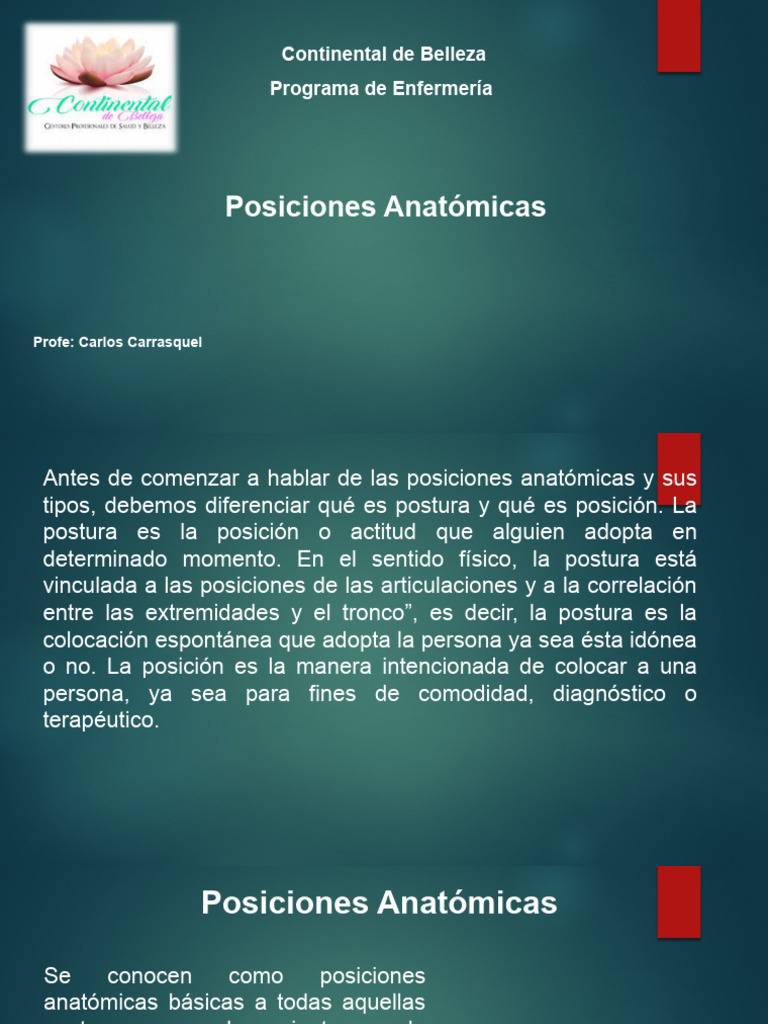Posiciones anatomicas | Descargar gratis PDF | Términos anatómicos de ...
