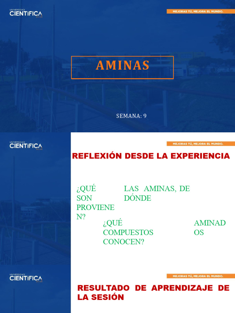 Semana 9. Aminas (2022) | PDF | Amina | Amonio