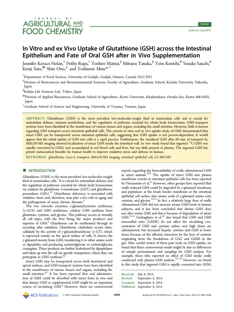 KOHJIN Glutathione Absorption Mechanism | PDF | Glutathione | Biology