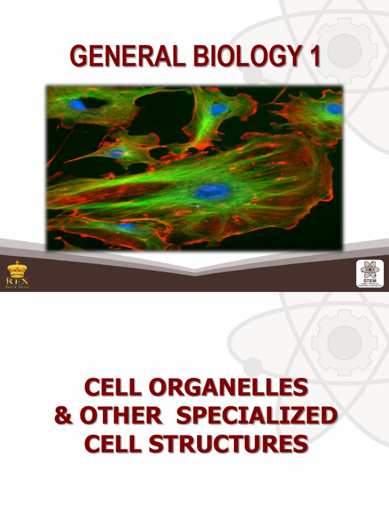 2 Cell Organelles and Other Specialized Cell Structures | PDF | Cell ...