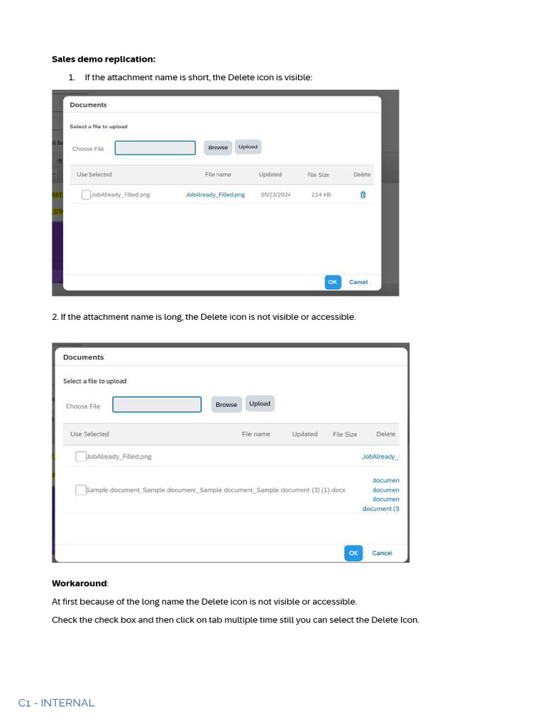 Internal Sales Demo Guide | PDF