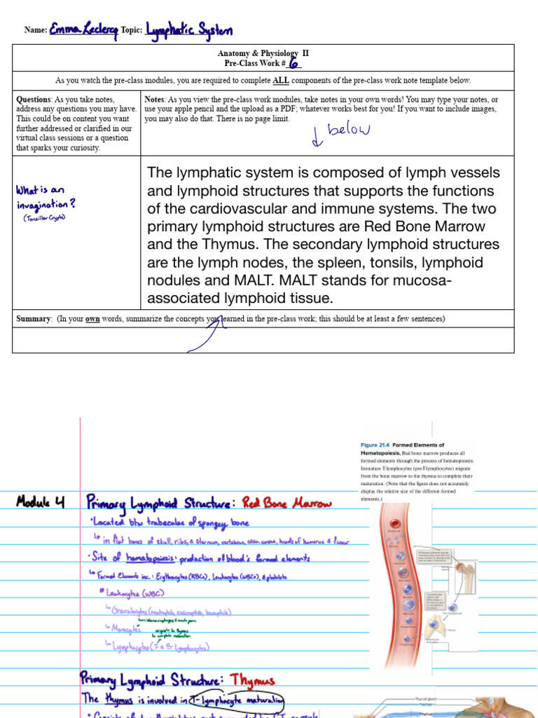 AP 2 PCW #6 - Lymphatic - Modules 4-7 | PDF | Lymphatic System | Lymph Node