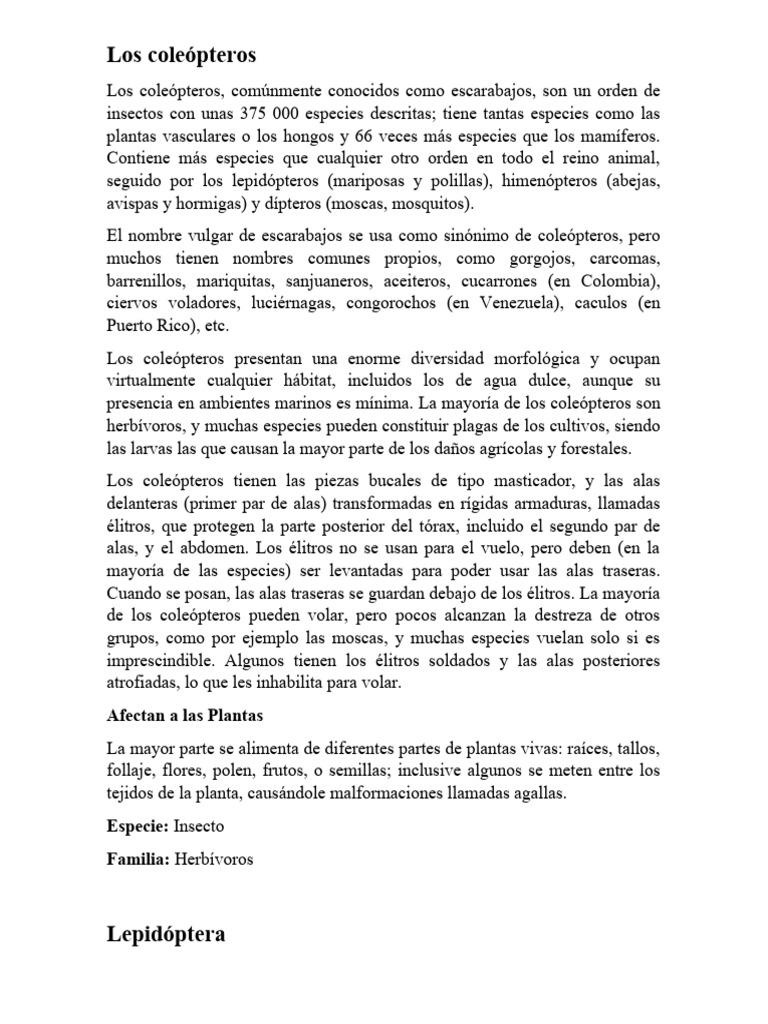 Los Coleópteros | PDF | Escarabajo | Lepidópteros