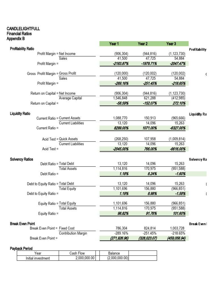 FINANCIAL-PLAN | PDF | Equity (Finance) | Balance Sheet