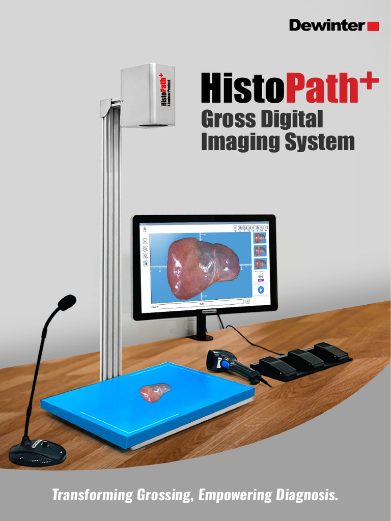 Histopath_Catalog | Download Free PDF | Pathology | Image Resolution