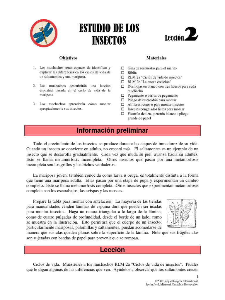 Lección 2 - Estudio de Los Insectos (1) | Descargar gratis PDF ...