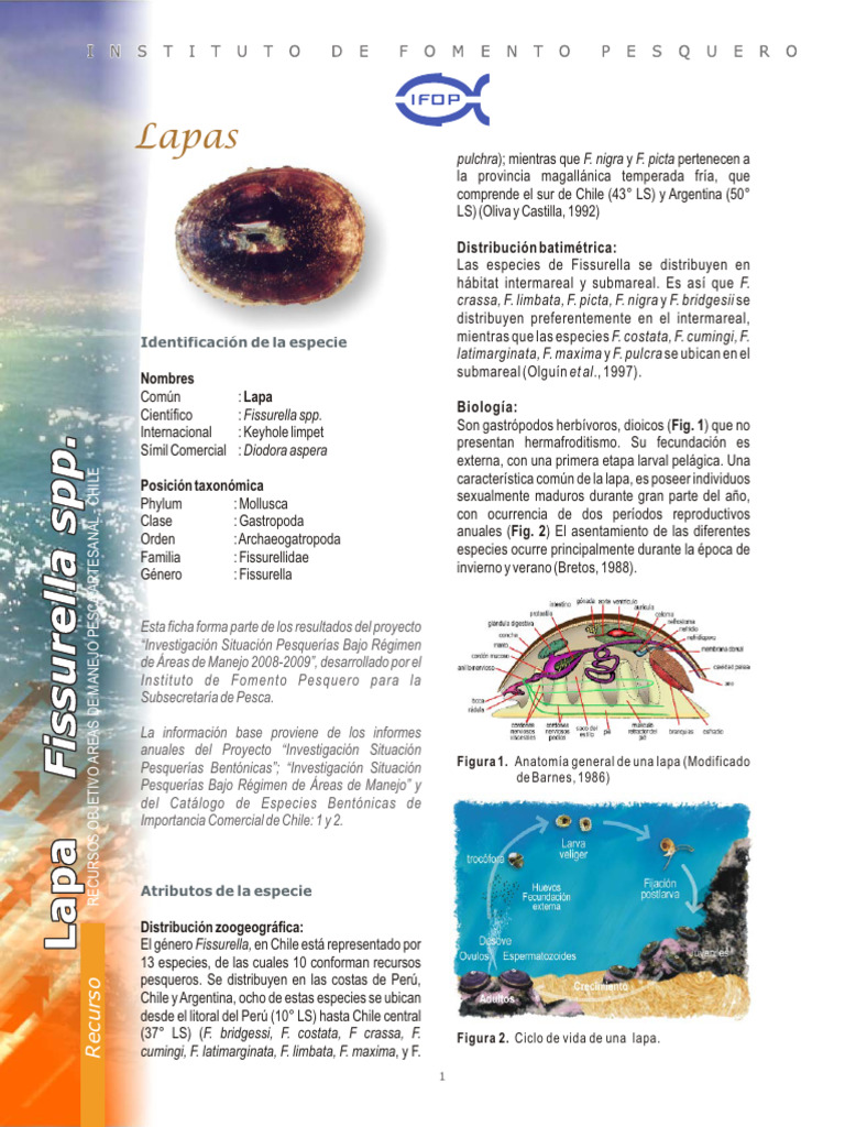 Articles-4803 Documento | PDF | Pesquería | Chile