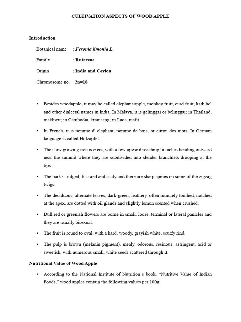 Wood Apple | PDF | Trees | Butterfly