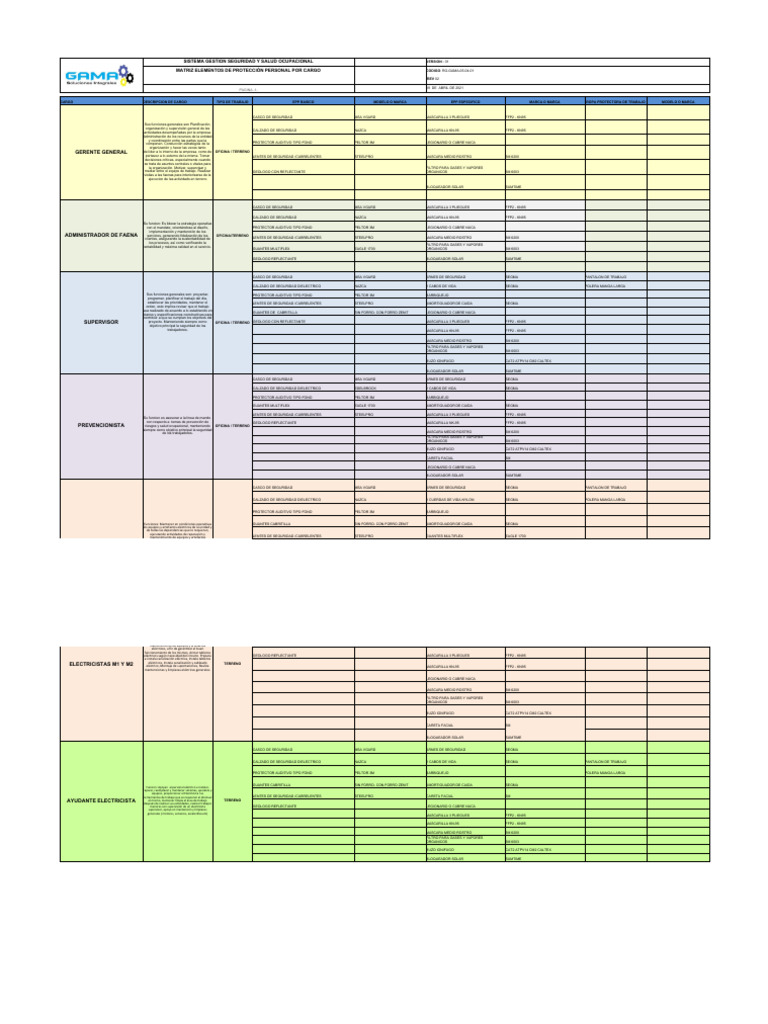 Matriz de EPP Por Cargo 2 | PDF