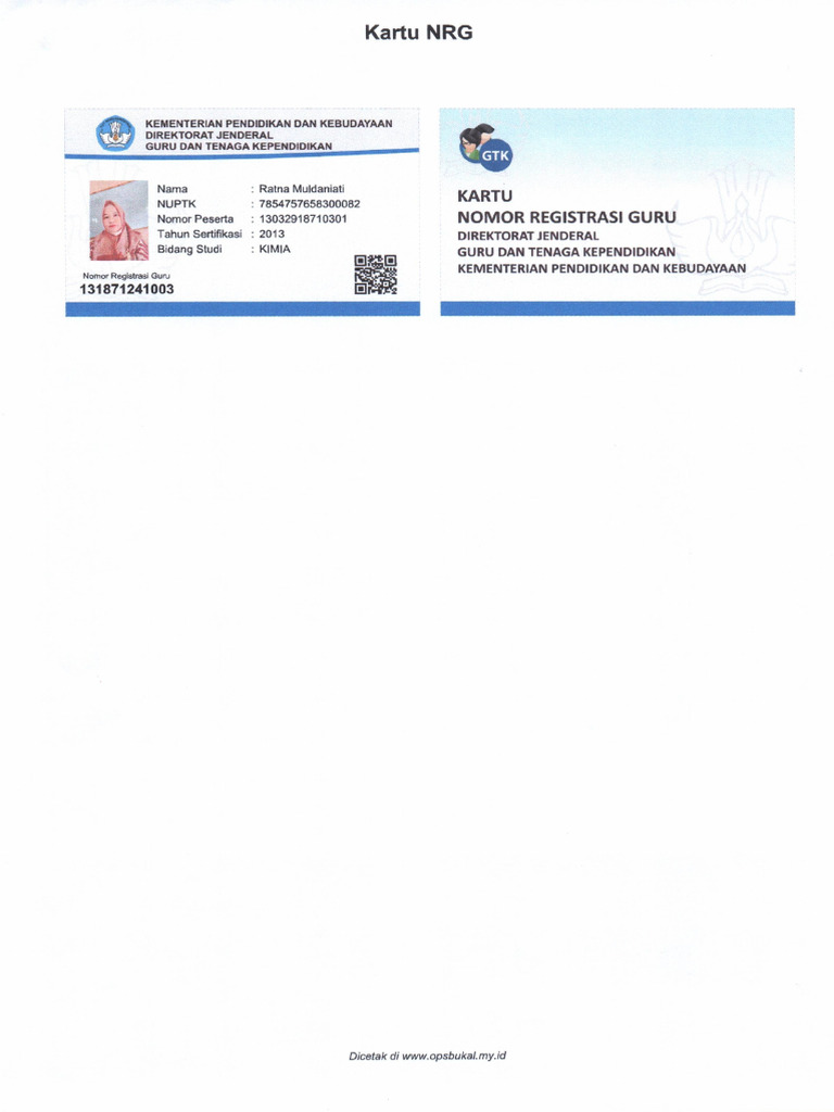 NRG Ratna Muldaniati | PDF