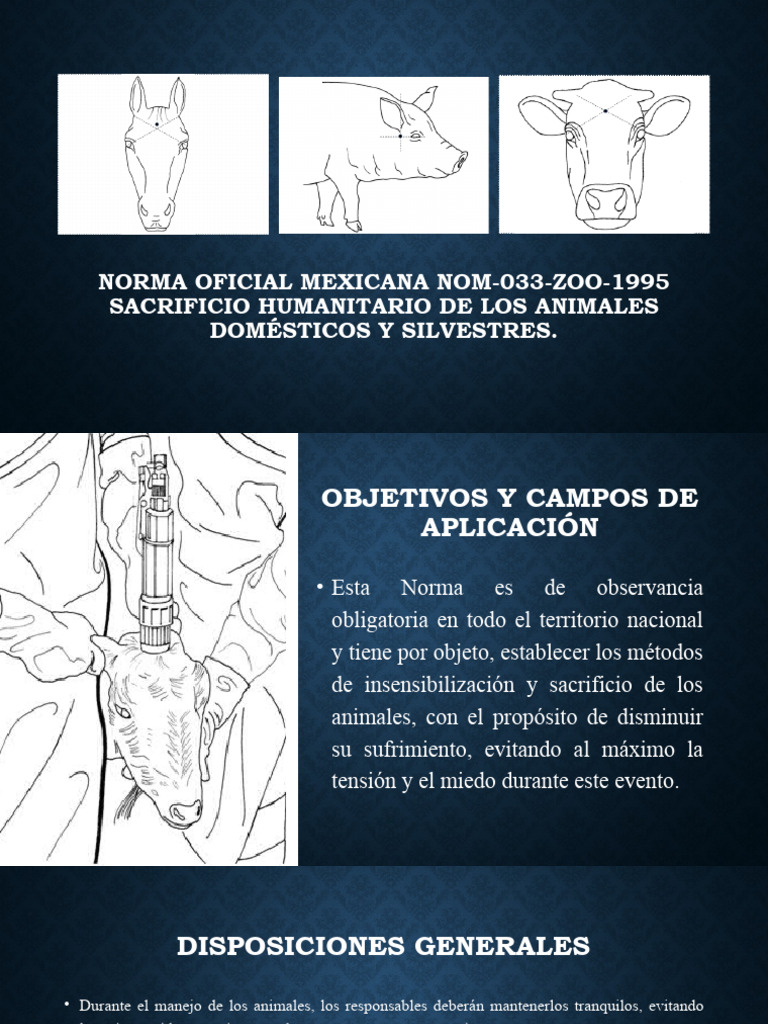 Nom 033 Zoo 1995 | PDF | Gatos | Pistola