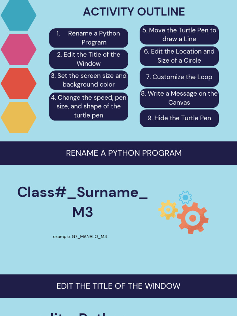 Turtle-Activity M3 | PDF