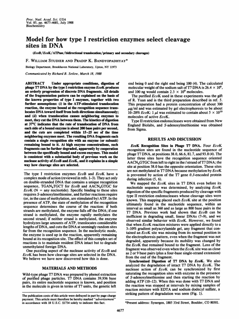 PNAS 1988 Studier 4677 81 | PDF | Restriction Enzyme | Dna