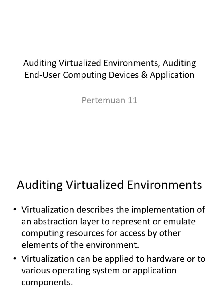 Virtualization Audit Guidelines | PDF | Virtualization | Computer Security