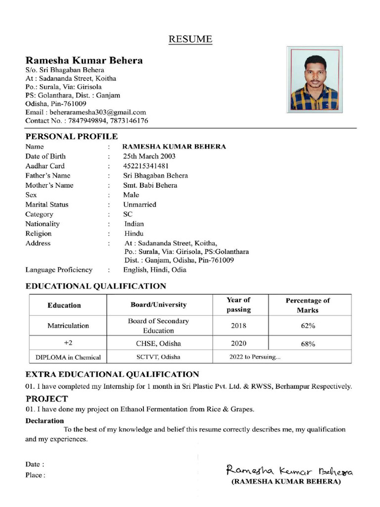 Ramesh Resume | PDF