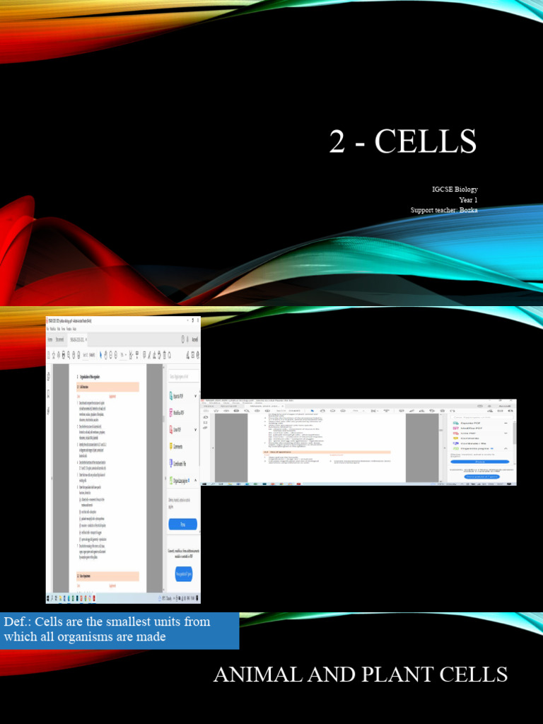 2 - Cells | PDF | Cell (Biology) | Plasmid