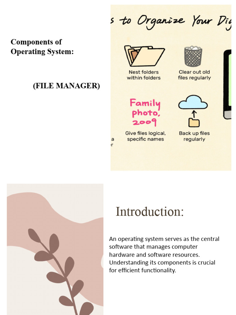 Components of Operating System FILE MANAGER | PDF | Computer File | Operating System