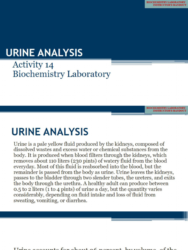 ACTIVITY-14-URINALYSIS | PDF