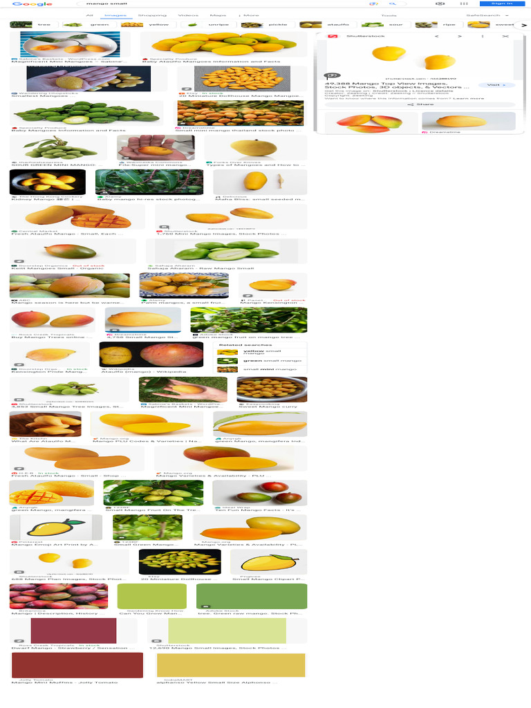 Mango Small - Google Search | PDF | Mango | Vegan Cuisine