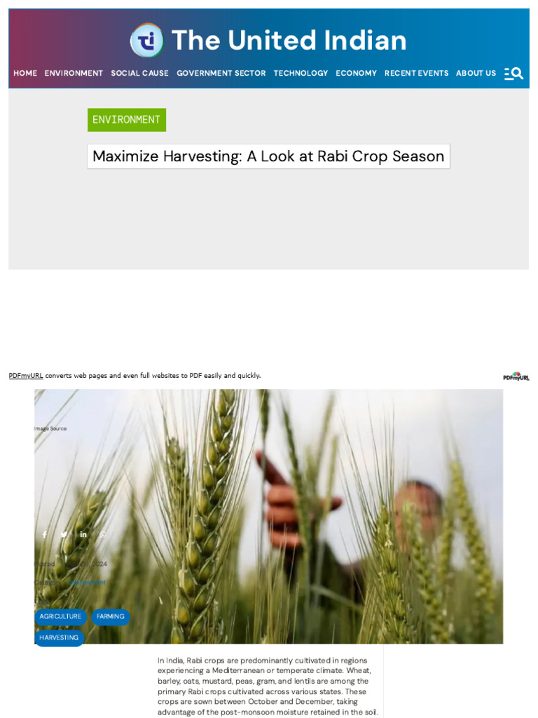 Rabi Crop Is Harvested in Which Month | PDF | Agriculture | Sowing