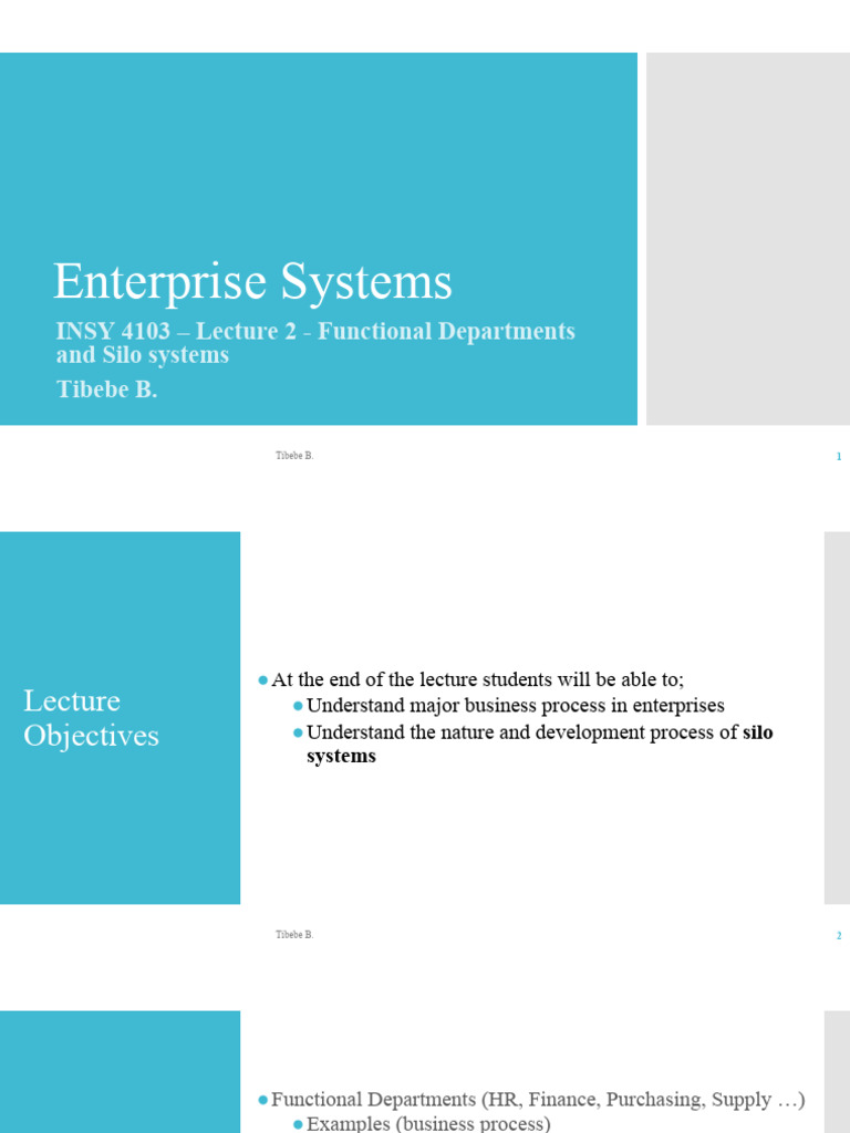 Enterprise Lect - 2 | PDF | Organizational Structure | Business Process